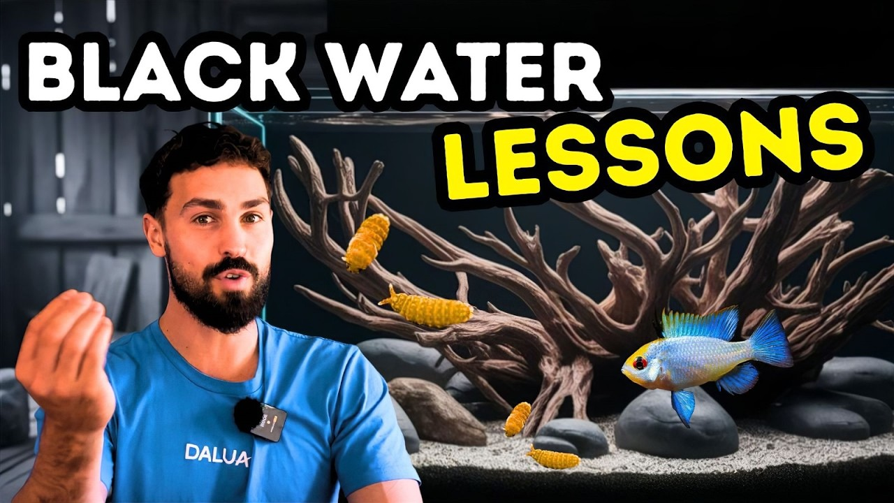 What I Learned Keeping a Blackwater Biotope Aquarium – Key Lessons & S ...