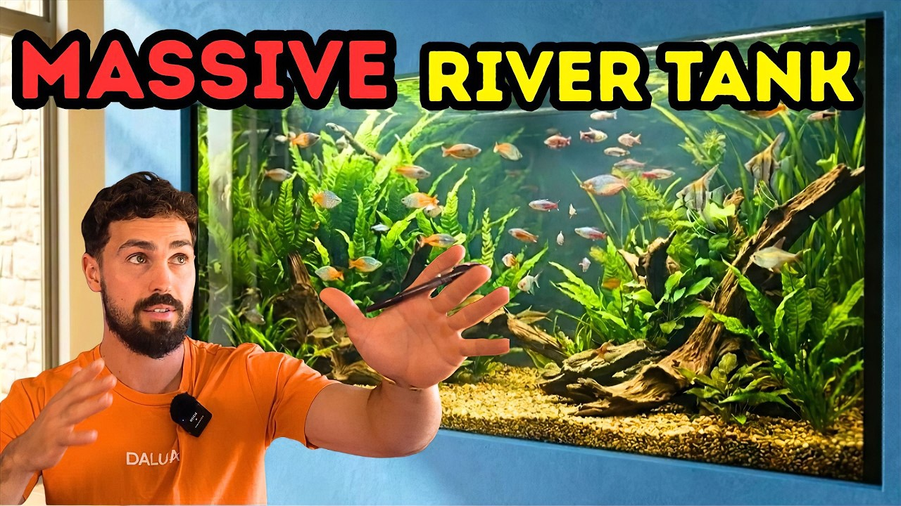 Transforming a 10ft Tank Into a Tropical River Aquascape — Full Build ...