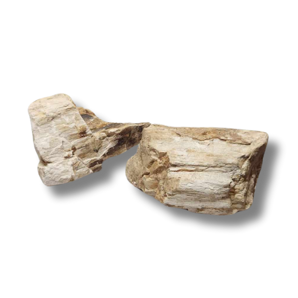 Jurassic Stone by DALUA Fresh – DALUA AU